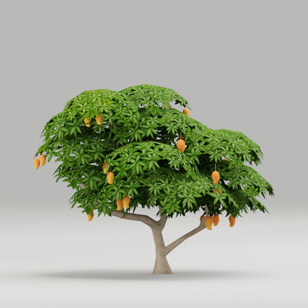 3D Mango Tree Model - TurboSquid 1422760