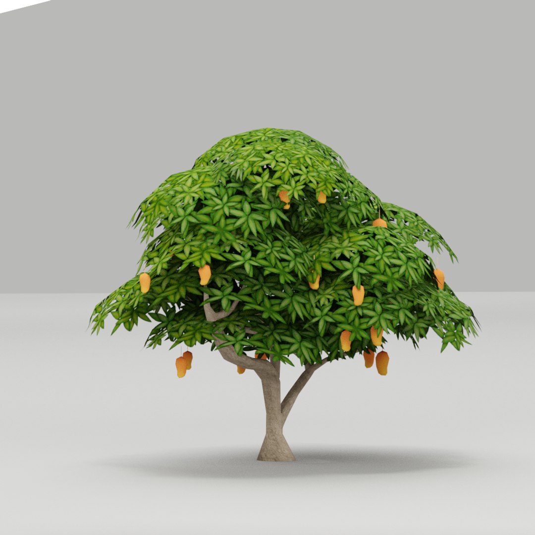 3D Mango Tree Model - TurboSquid 1422760