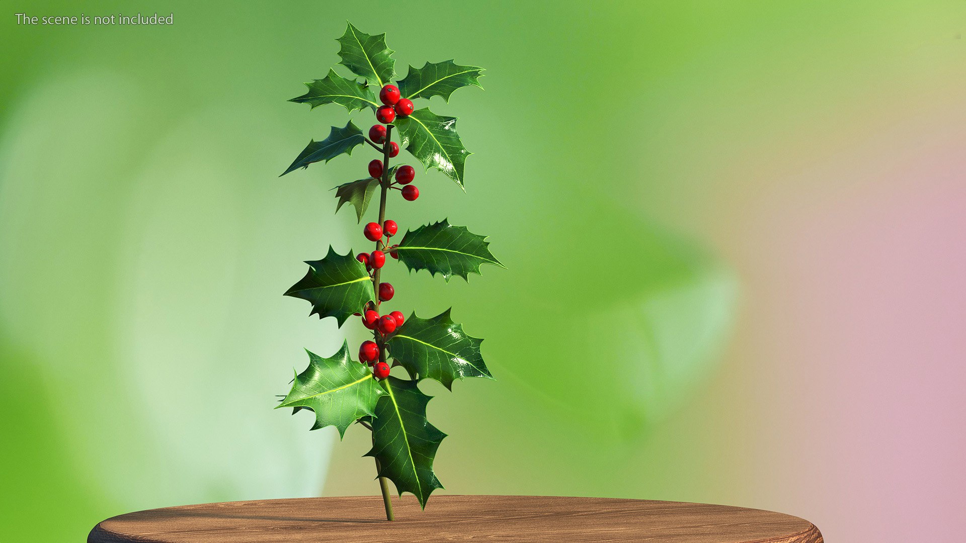 Mistletoe Sprig Holly 3D Model - TurboSquid 2075475