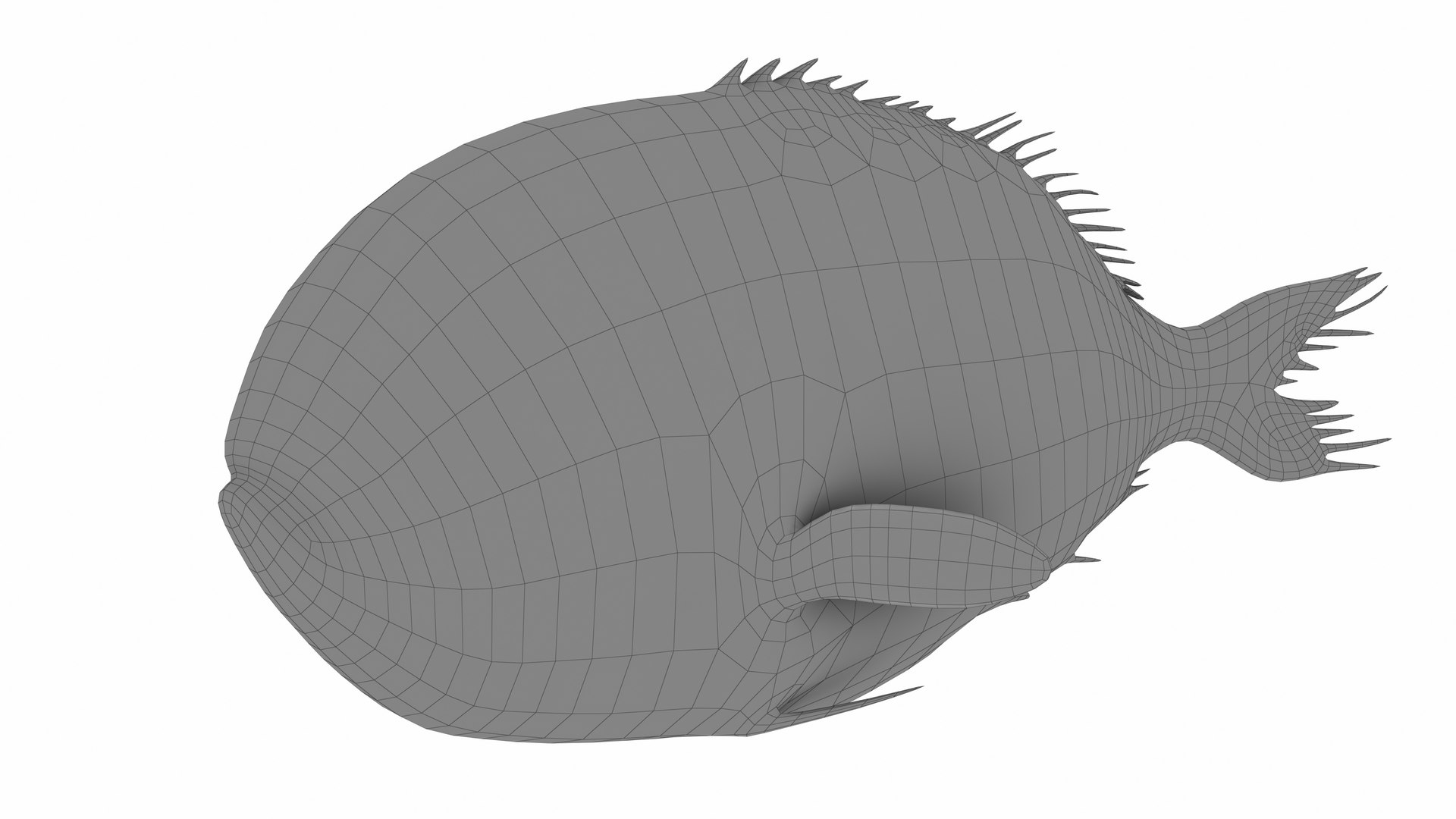 3D Model Fish Collection 4 In 1 - Cold Water Fishes - TurboSquid 2381452