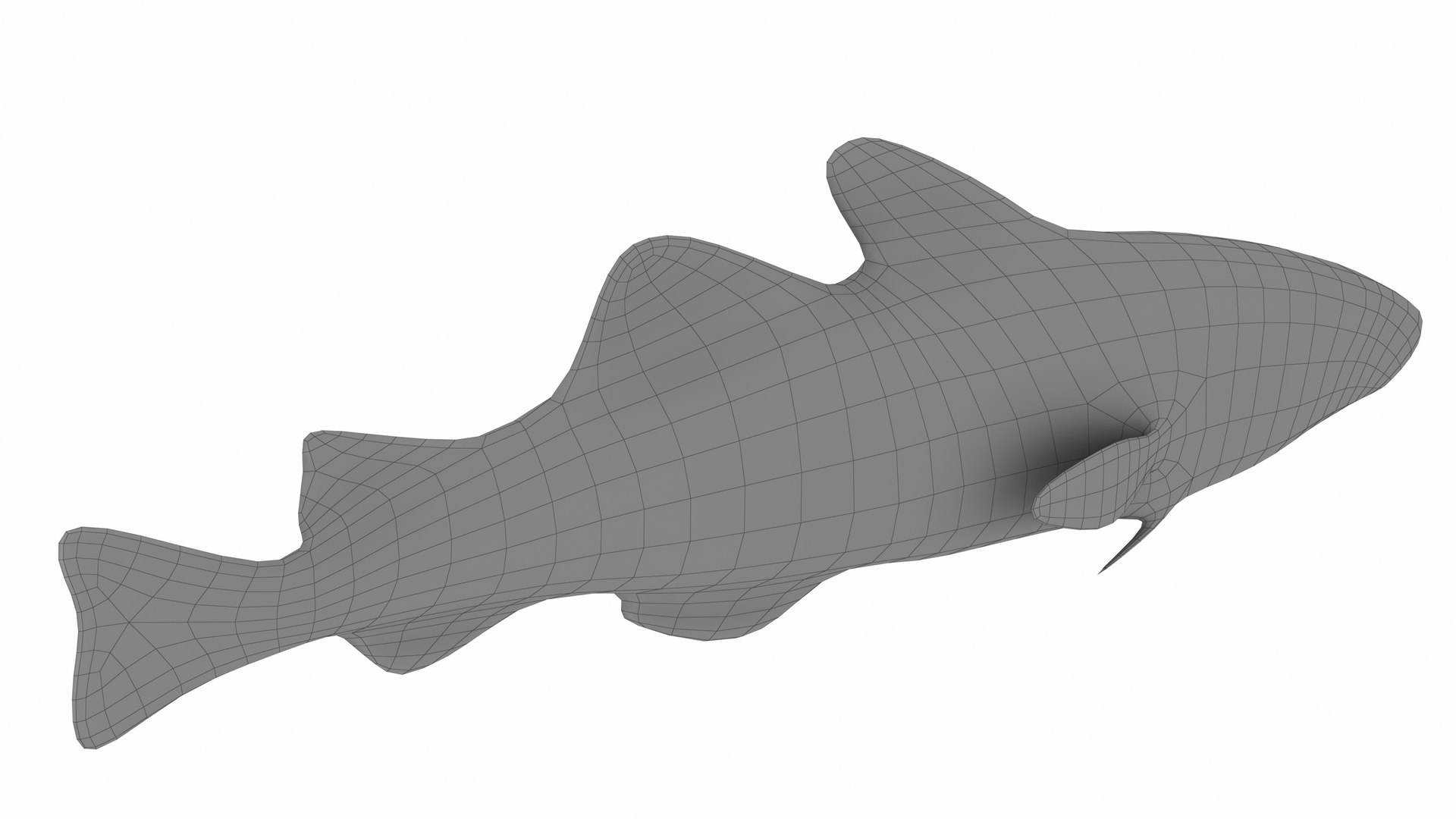 3D Model Fish Collection 4 In 1 - Cold Water Fishes - TurboSquid 2381452