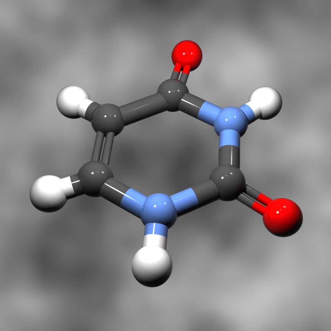 Max Nucleobase Dna