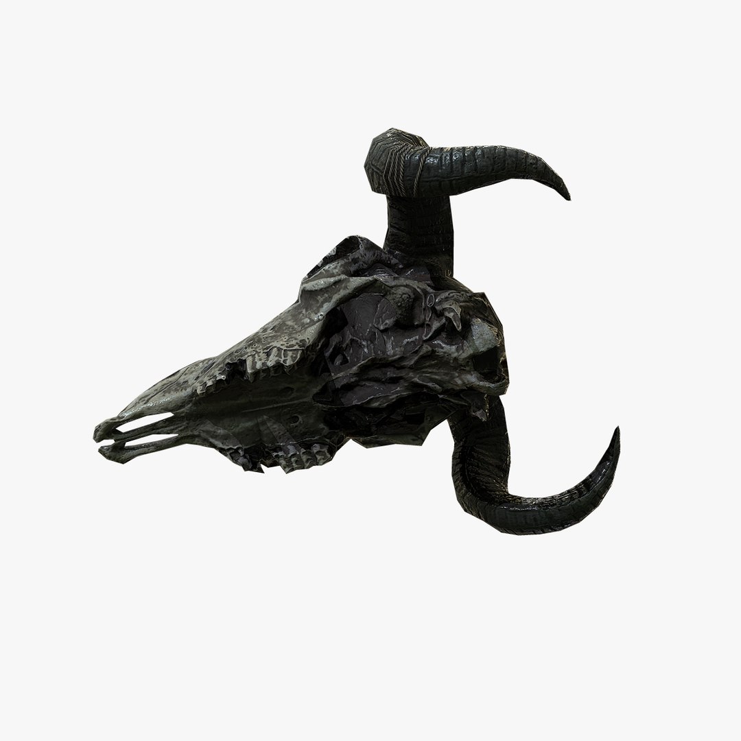 3D Model Animal Skull - TurboSquid 1483453