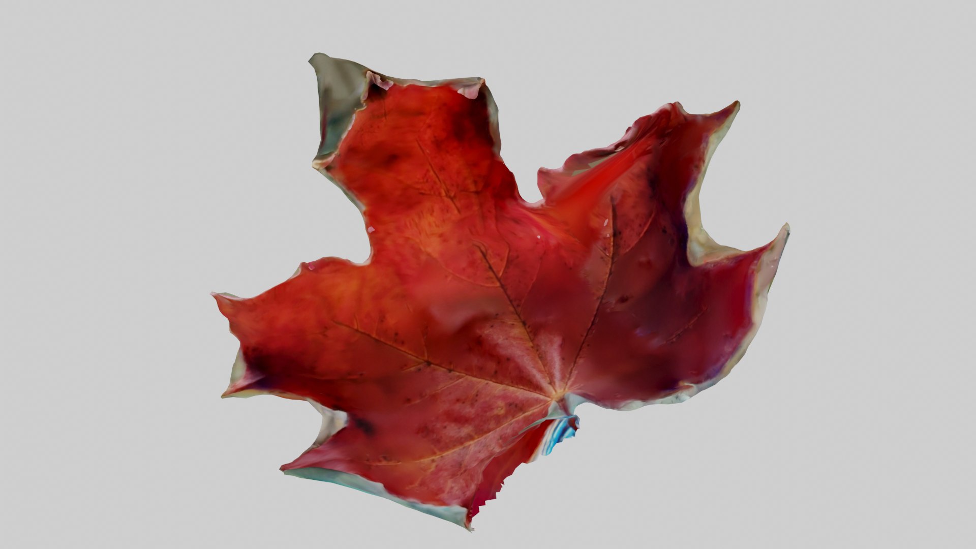 Free Red Leaf 3D Model - TurboSquid 2009640