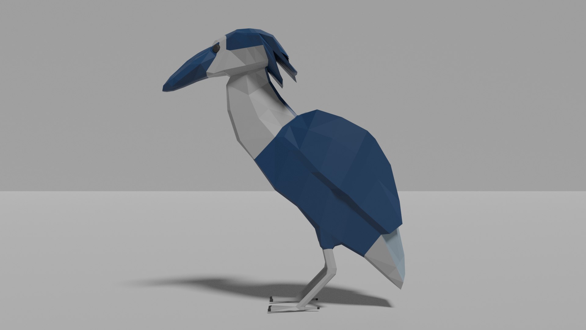 3D Boat-billed Heron Model - TurboSquid 1598269