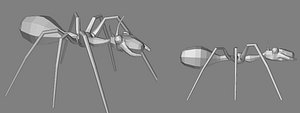 Free 3D Ant Models - Available For Download On TurboSquid