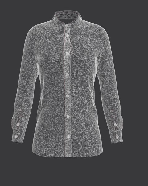 3D Ladies Print Shirt - TurboSquid 1938987