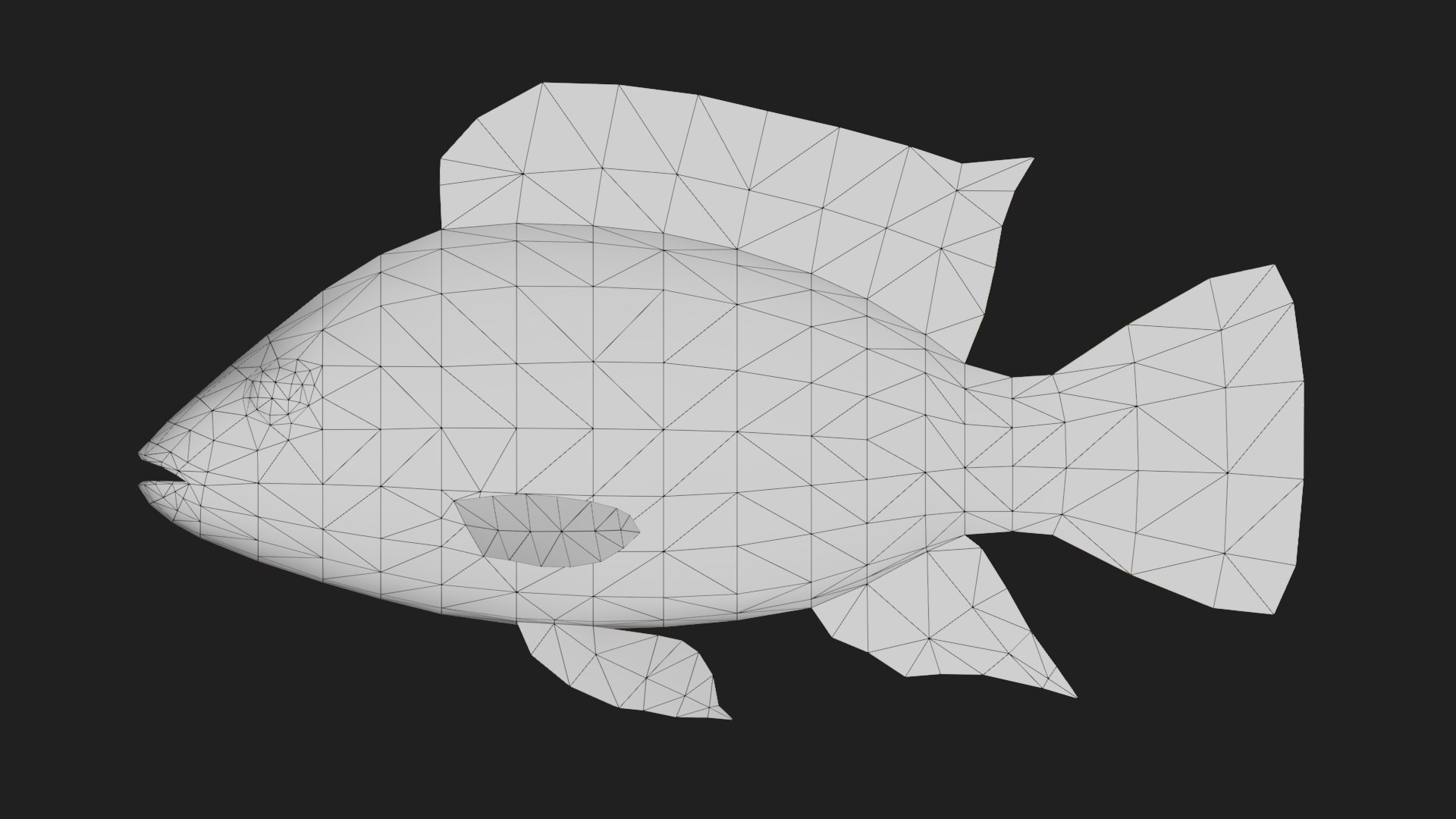 3D Cichlid Model - TurboSquid 2122614