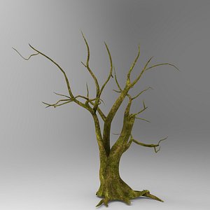 Fantasy Tree 3D Models for Download | TurboSquid