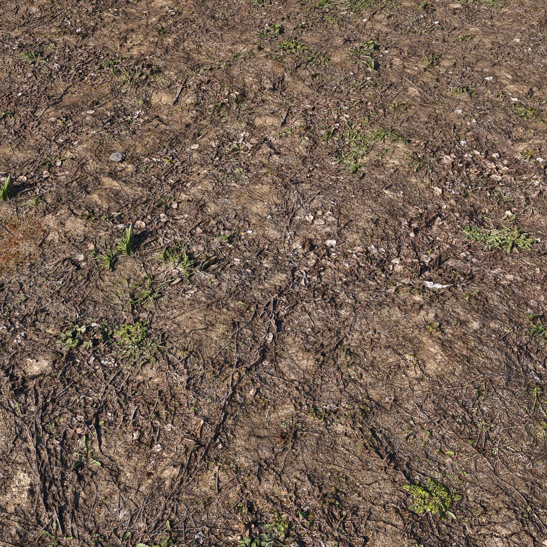 Spring Soil 2 3D - TurboSquid 1909374