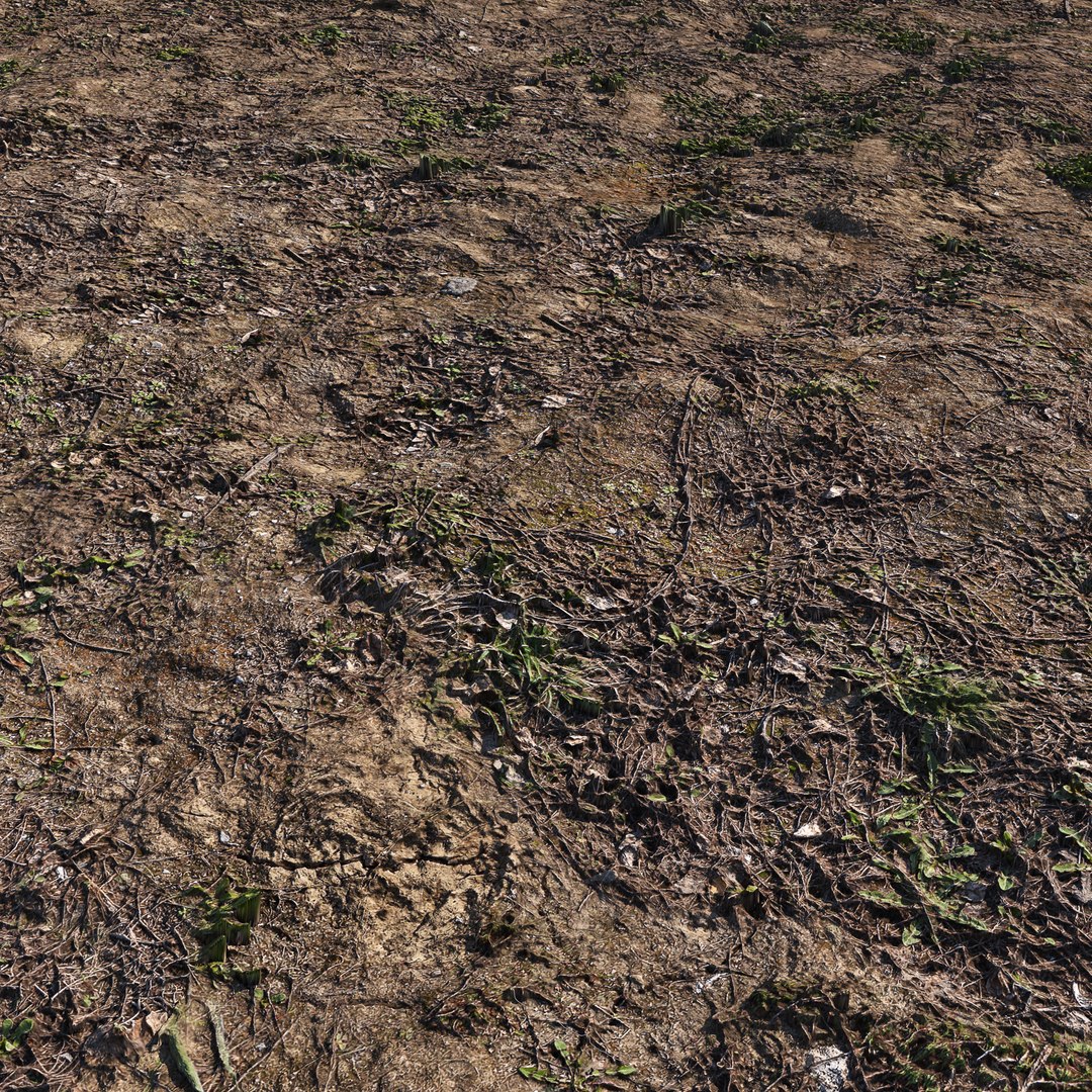 Spring Soil 2 3D - TurboSquid 1909374