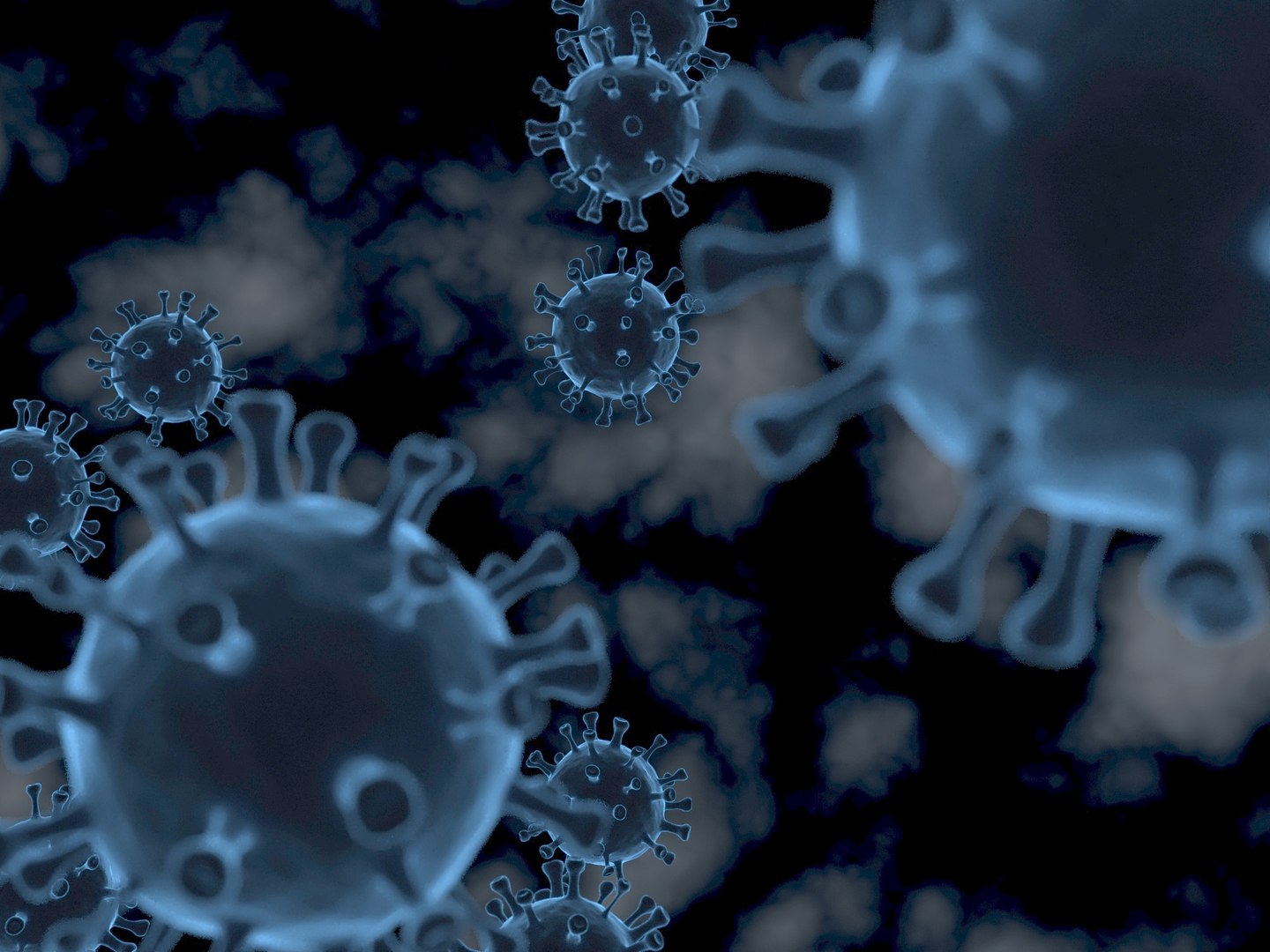3D Model Virus Realistic - TurboSquid 1505553