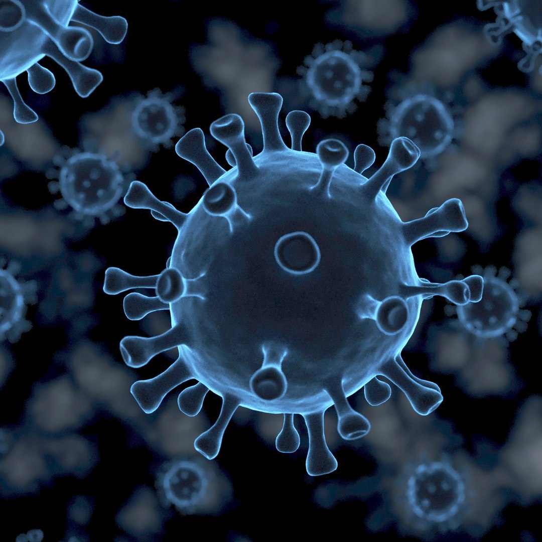 3D Model Virus Realistic - TurboSquid 1505553
