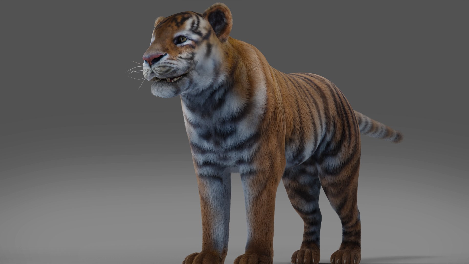 Fur Tiger NO Rigged In Blender Model - TurboSquid 2093939