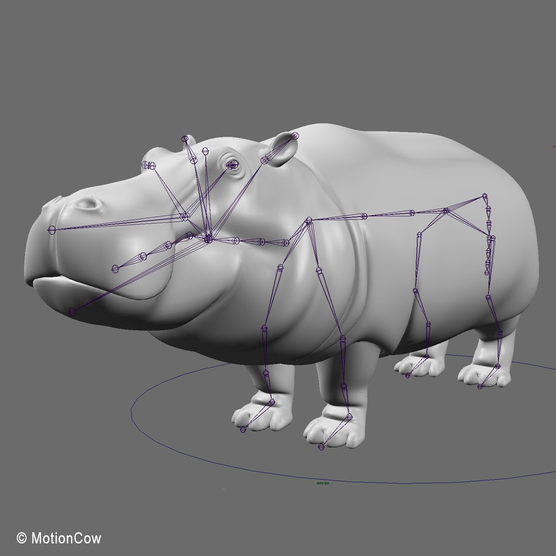 3d realistic rigged animation model