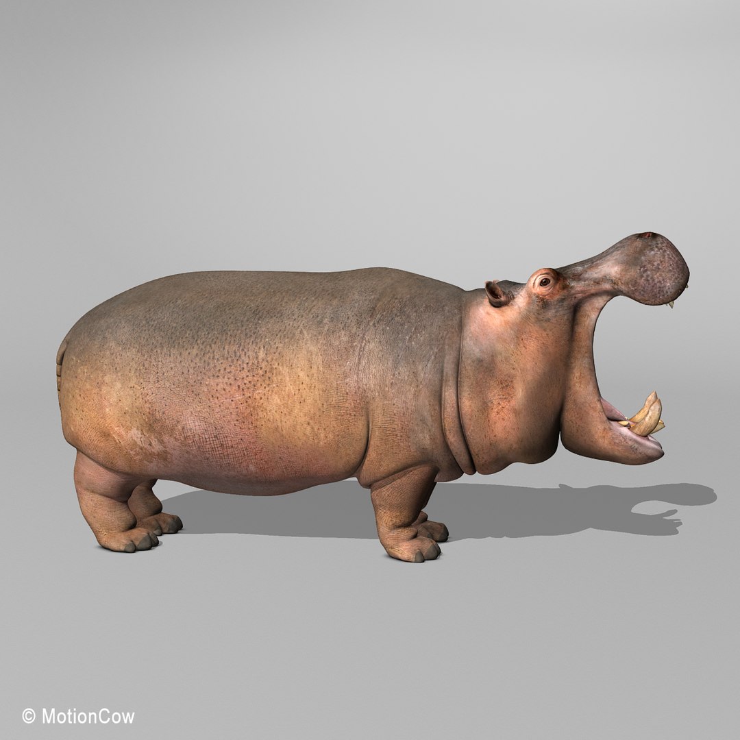 3d realistic rigged animation model