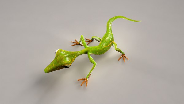 photorealistic gecko animate 3d obj