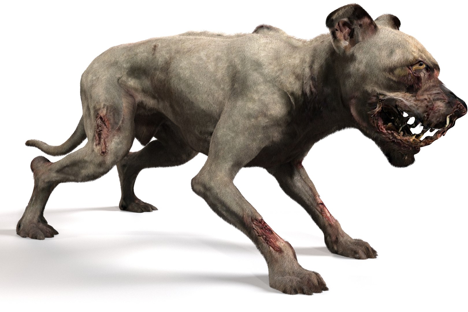 Old Furious Dog Pack 3D Model - TurboSquid 2325446