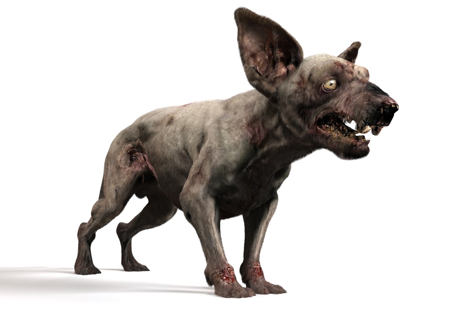 Old Furious Dog Pack 3D Model - TurboSquid 2325446