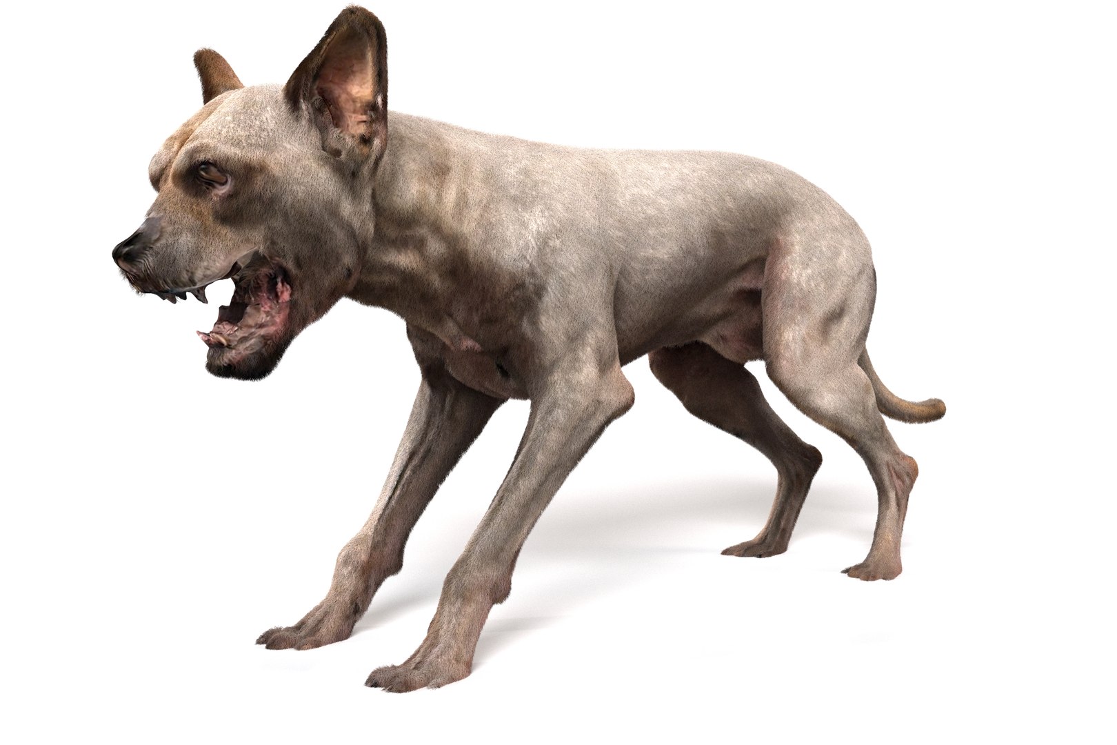 Old Furious Dog Pack 3D Model - TurboSquid 2325446