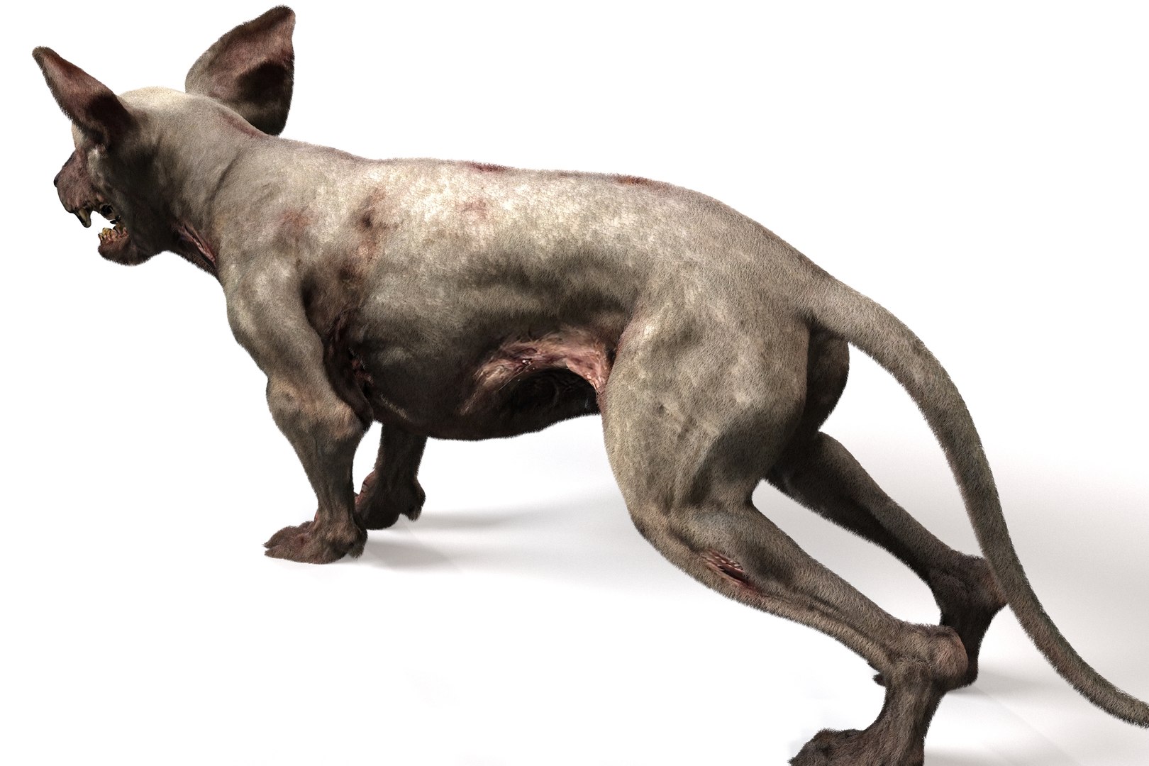 Old Furious Dog Pack 3D Model - TurboSquid 2325446