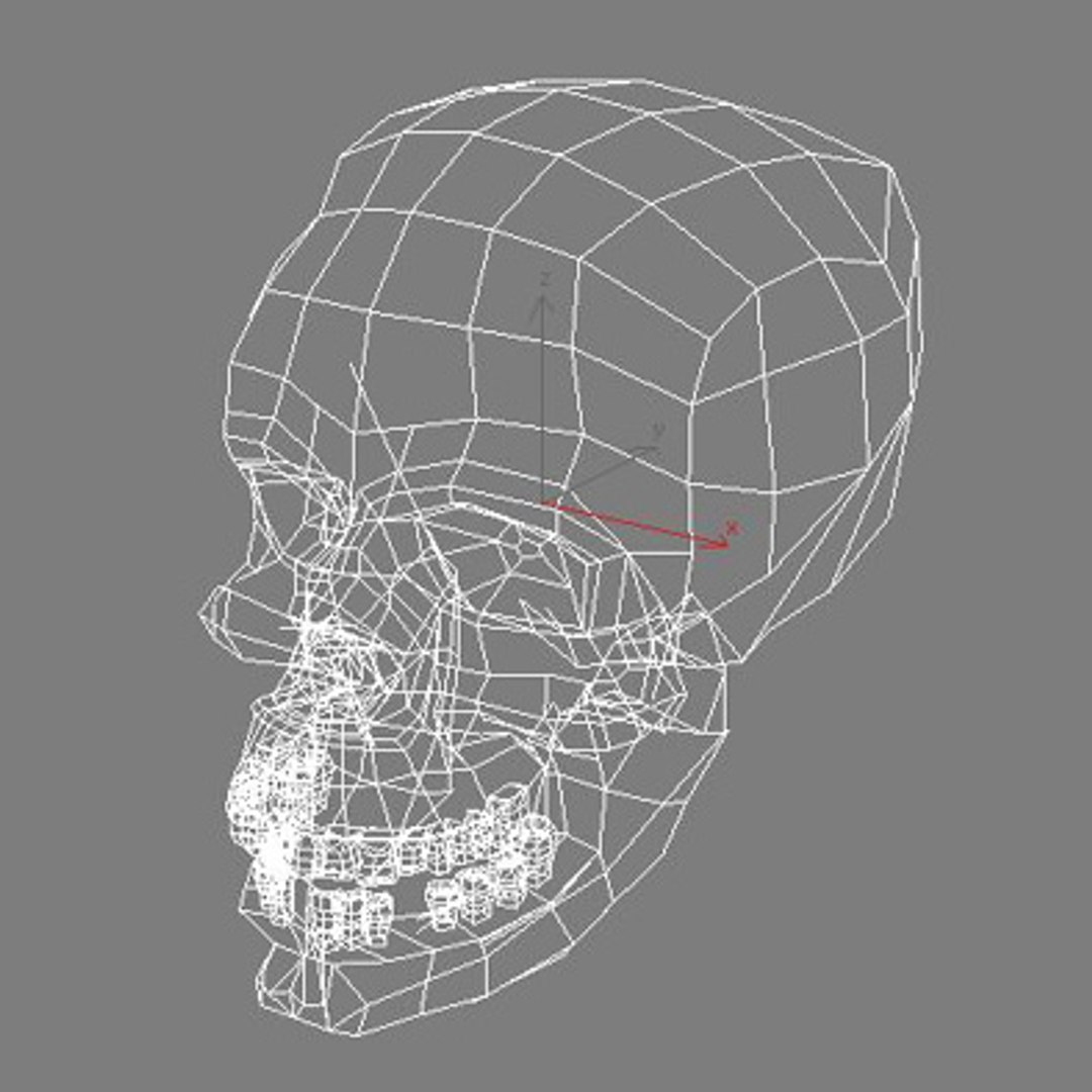 Free Skull 3d Model