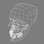 Free Skull 3d Model