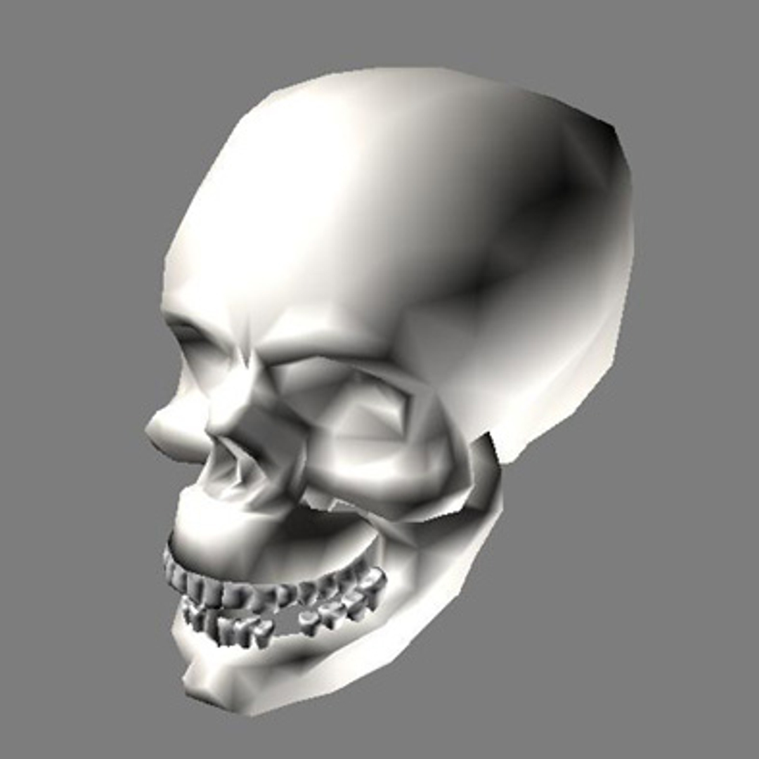 free skull 3d model