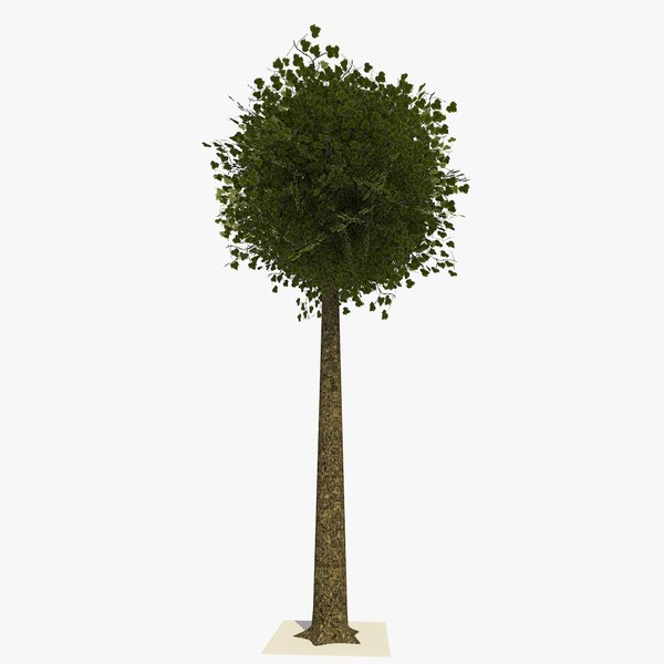 3d model 4 trees summer version