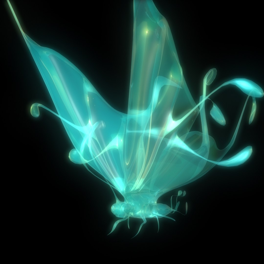 Magical Butterfly Fbx
