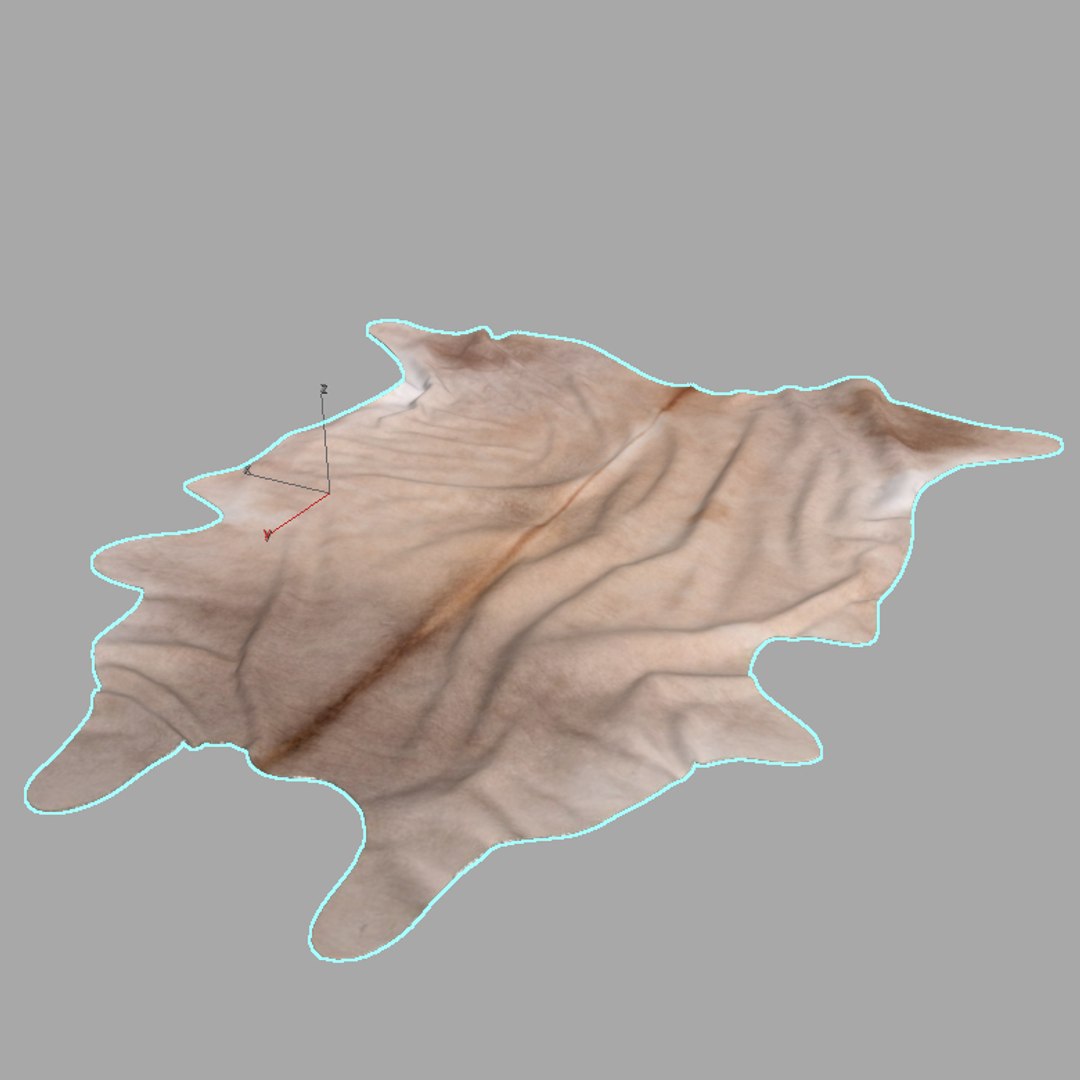 3D Cowhide Rug Model - TurboSquid 2303952