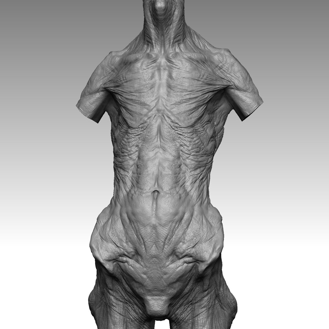 3d Model Alien Monster Torso