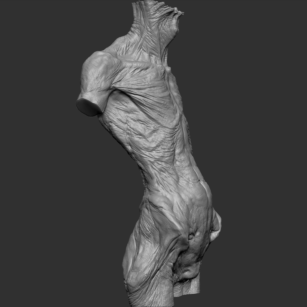 3d Model Alien Monster Torso