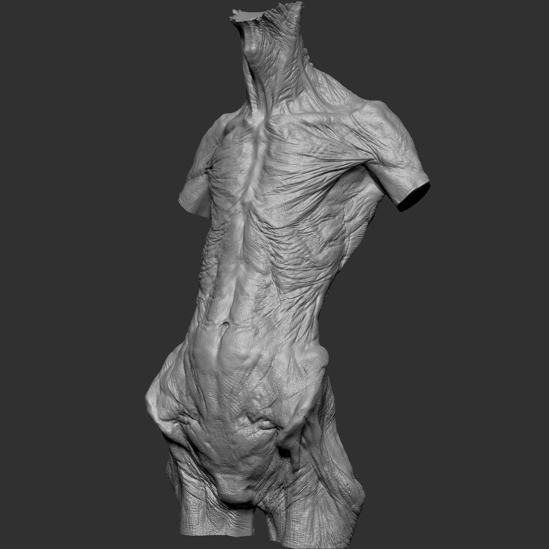 3d Model Alien Monster Torso