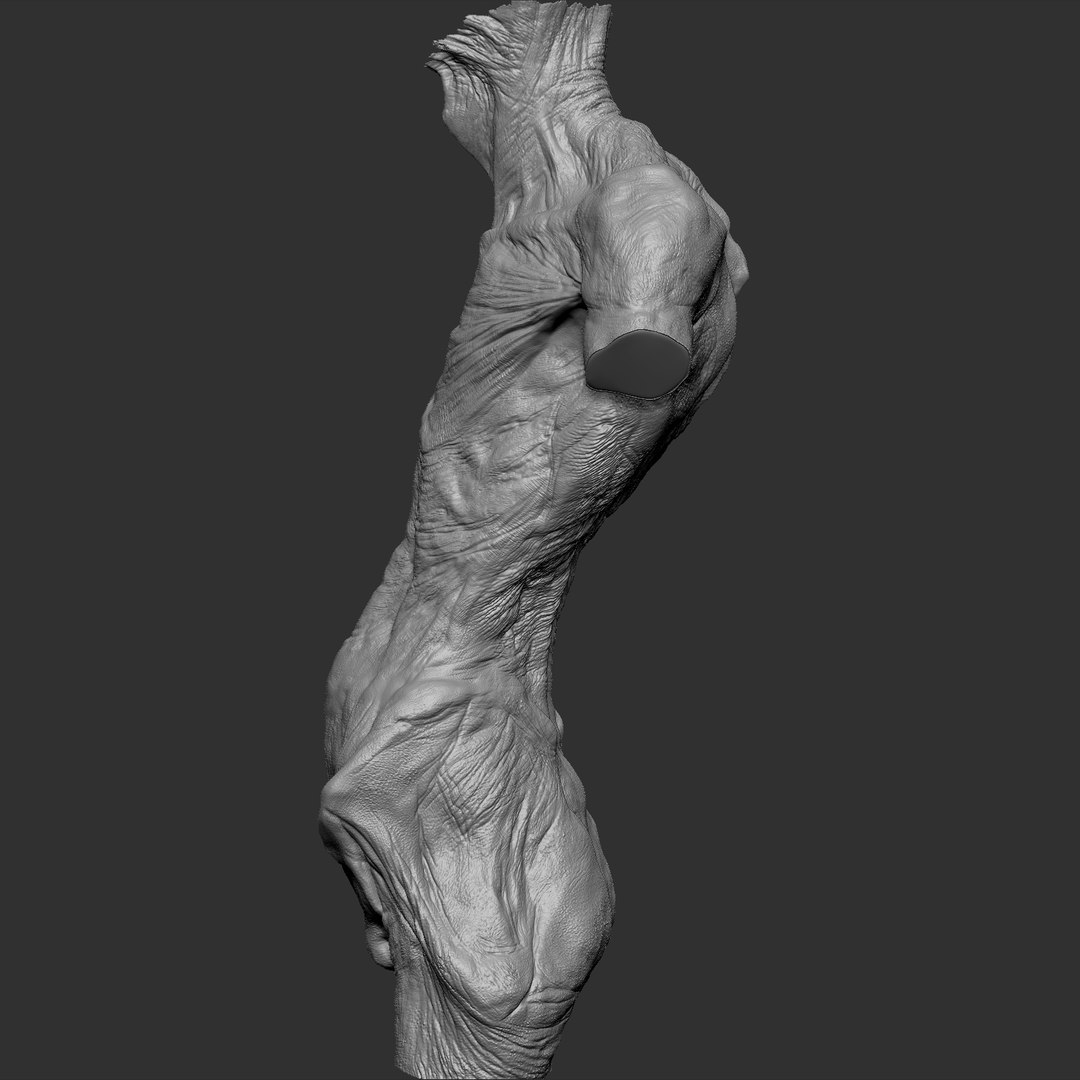 3d Model Alien Monster Torso