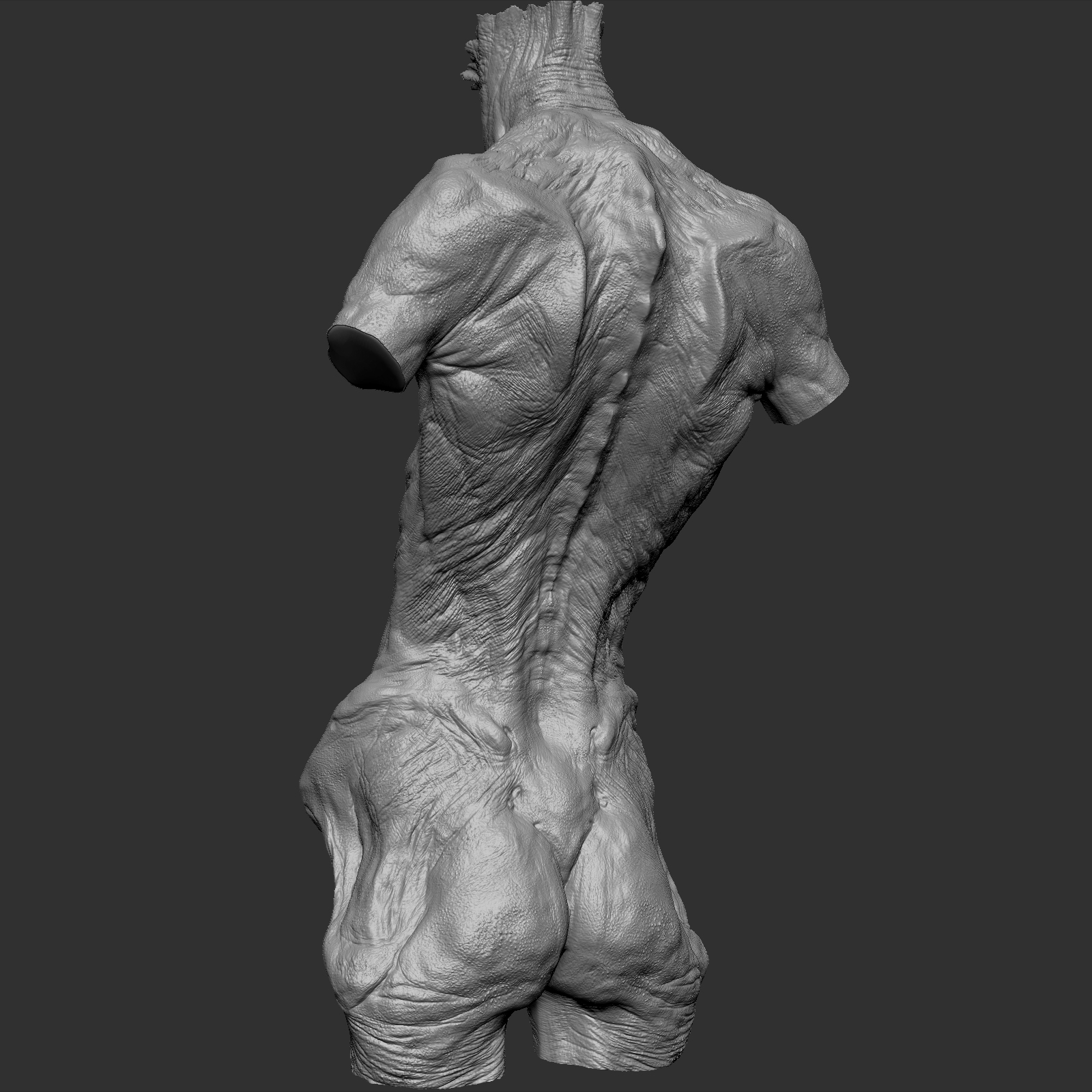3d model alien monster torso