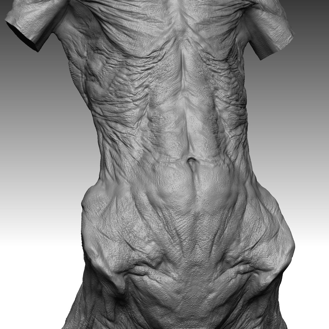 3d Model Alien Monster Torso