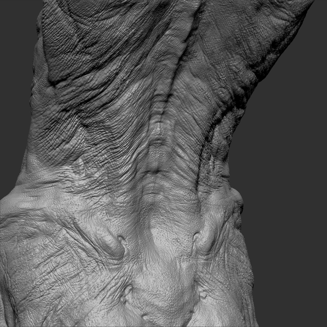 3d Model Alien Monster Torso