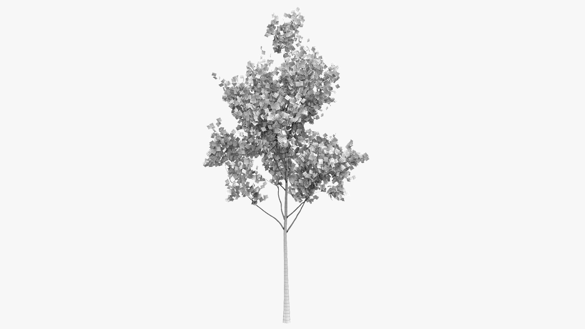 Young Tree - PBR Textures 3D - TurboSquid 1880635