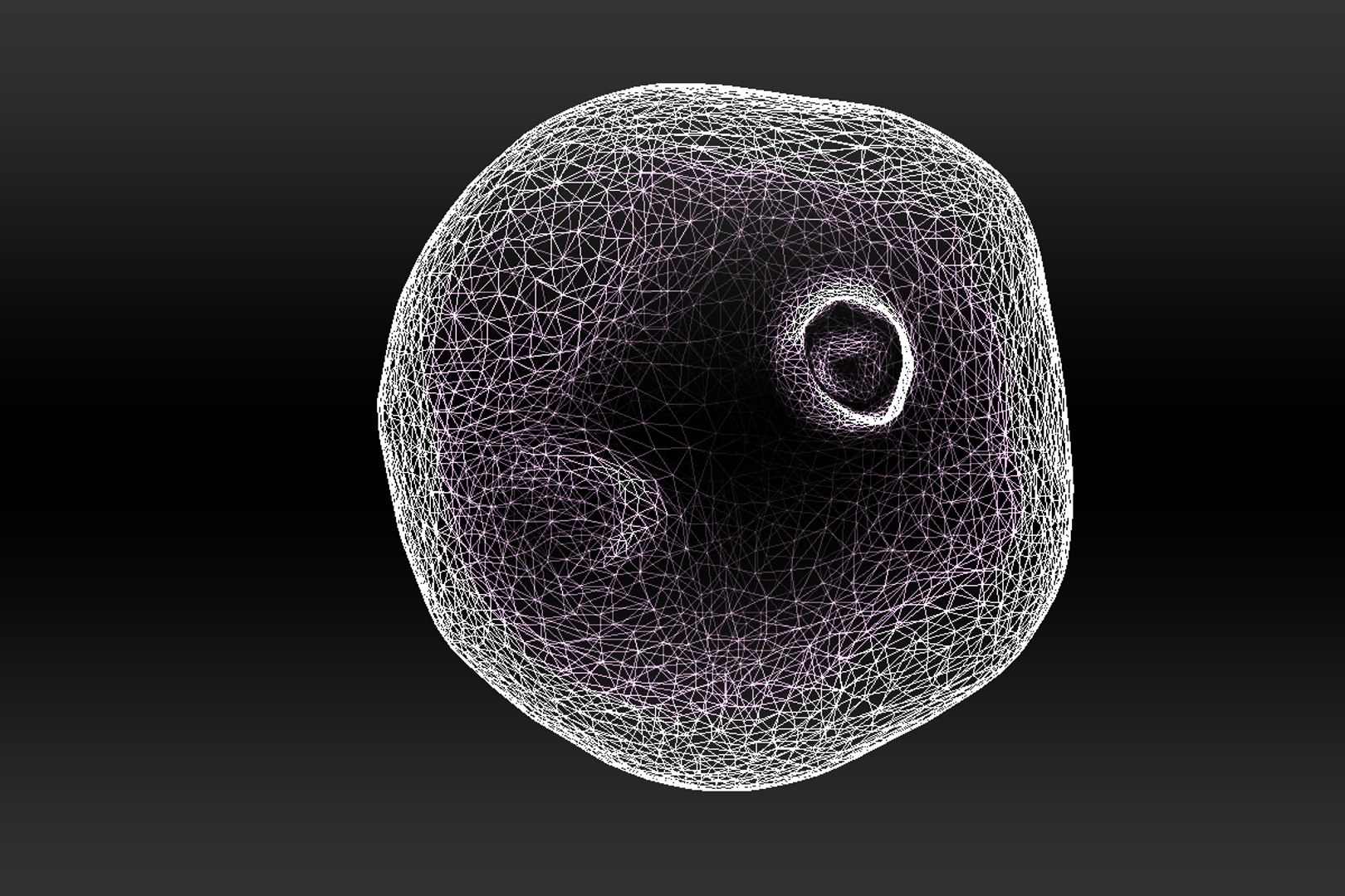 Pomegranate 3D Scan High Quality 3D Model - TurboSquid 1747176