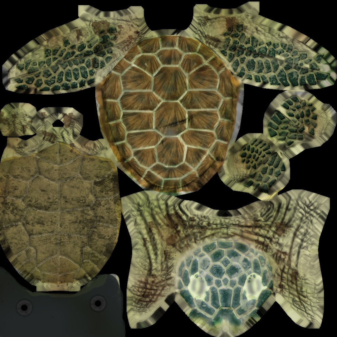 3d Turtle Realistic Sea