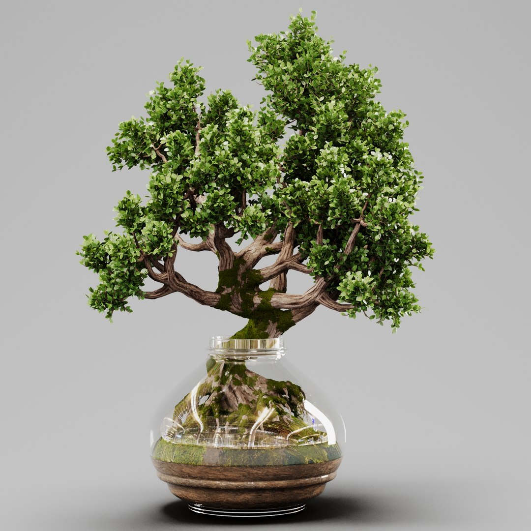 3D Bonsai Tree Indoor Plant 02 Model - TurboSquid 2255986