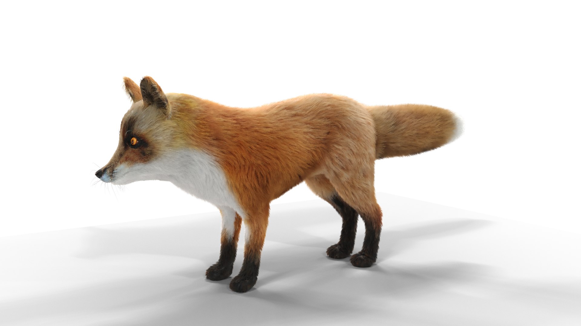 3D Model Hair Fur Red Fox 02 - TurboSquid 1721366