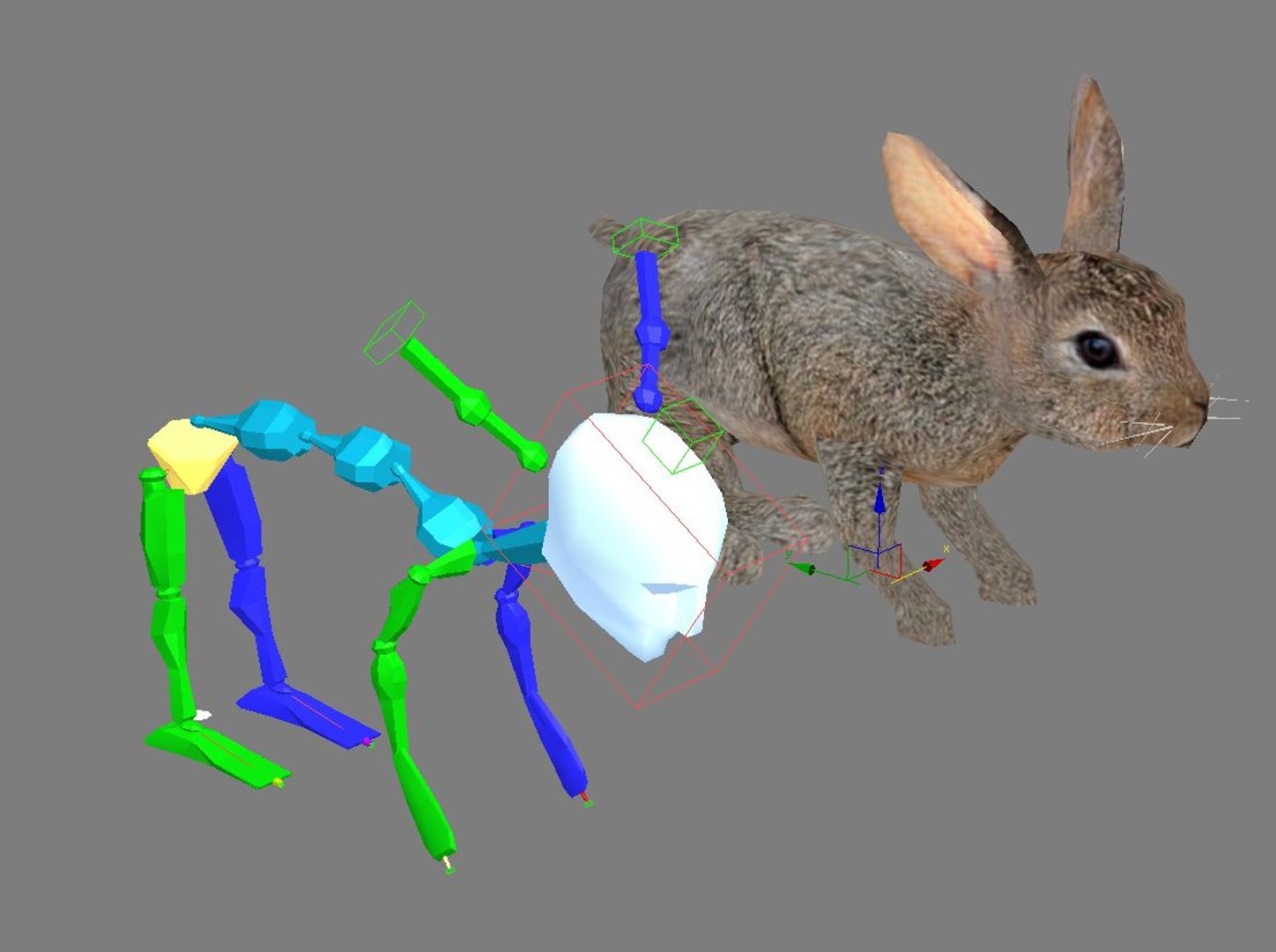 3d Rigged Rabbit Model
