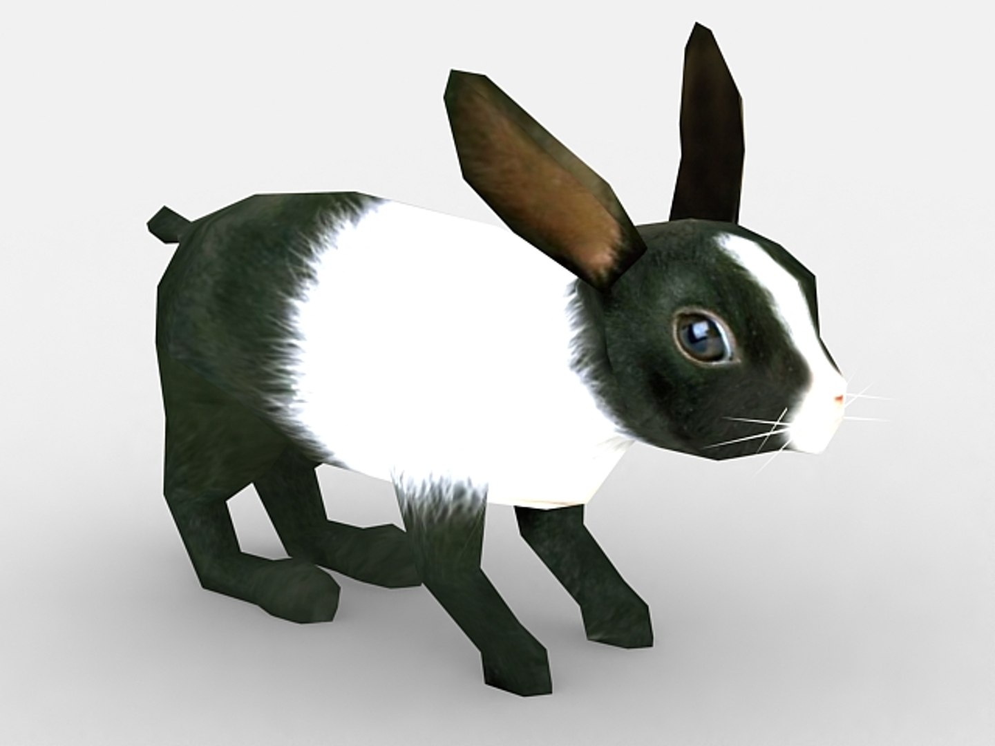 3d Rigged Rabbit Model