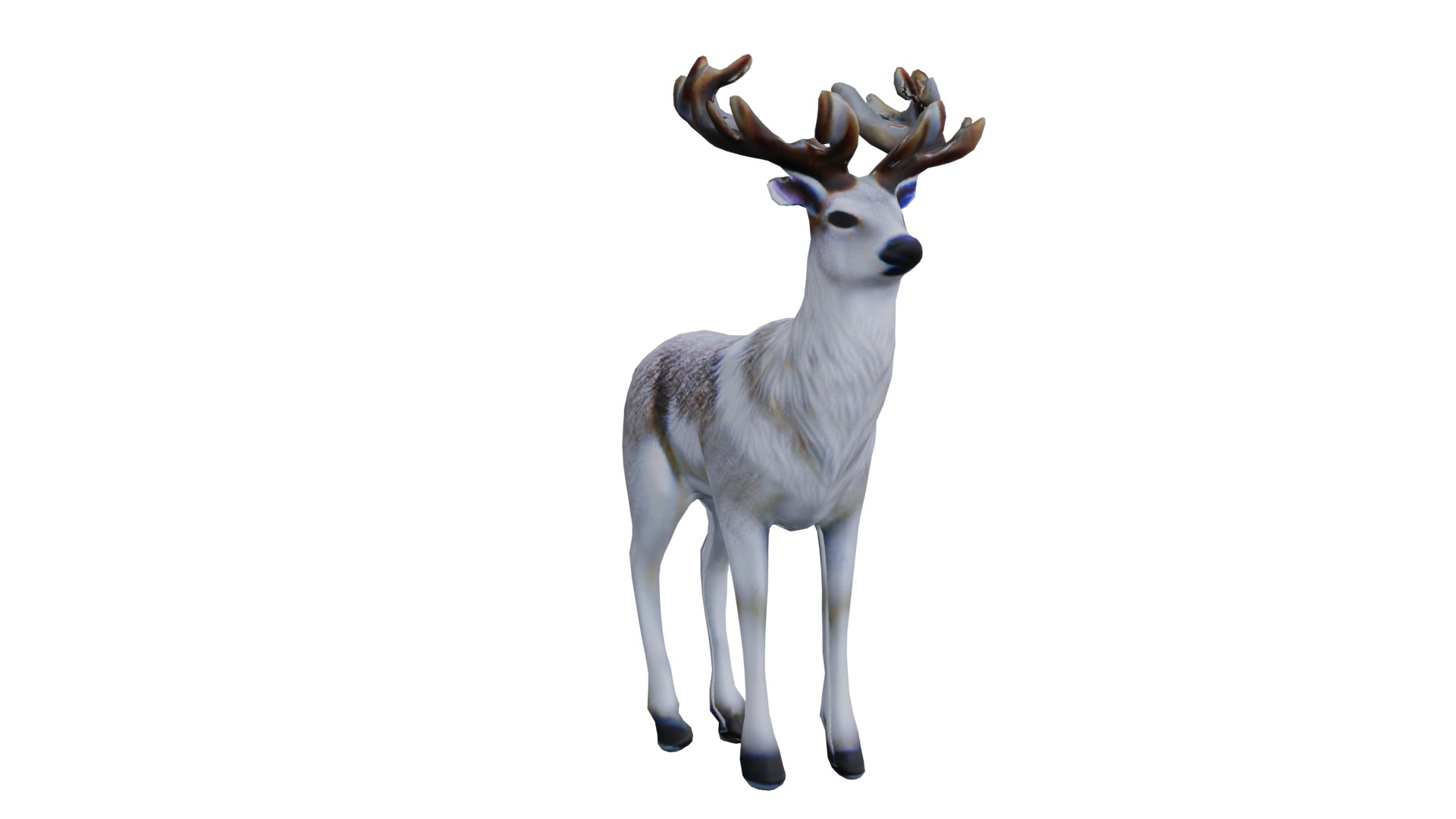 3D White Deer Low Poly - TurboSquid 2208046