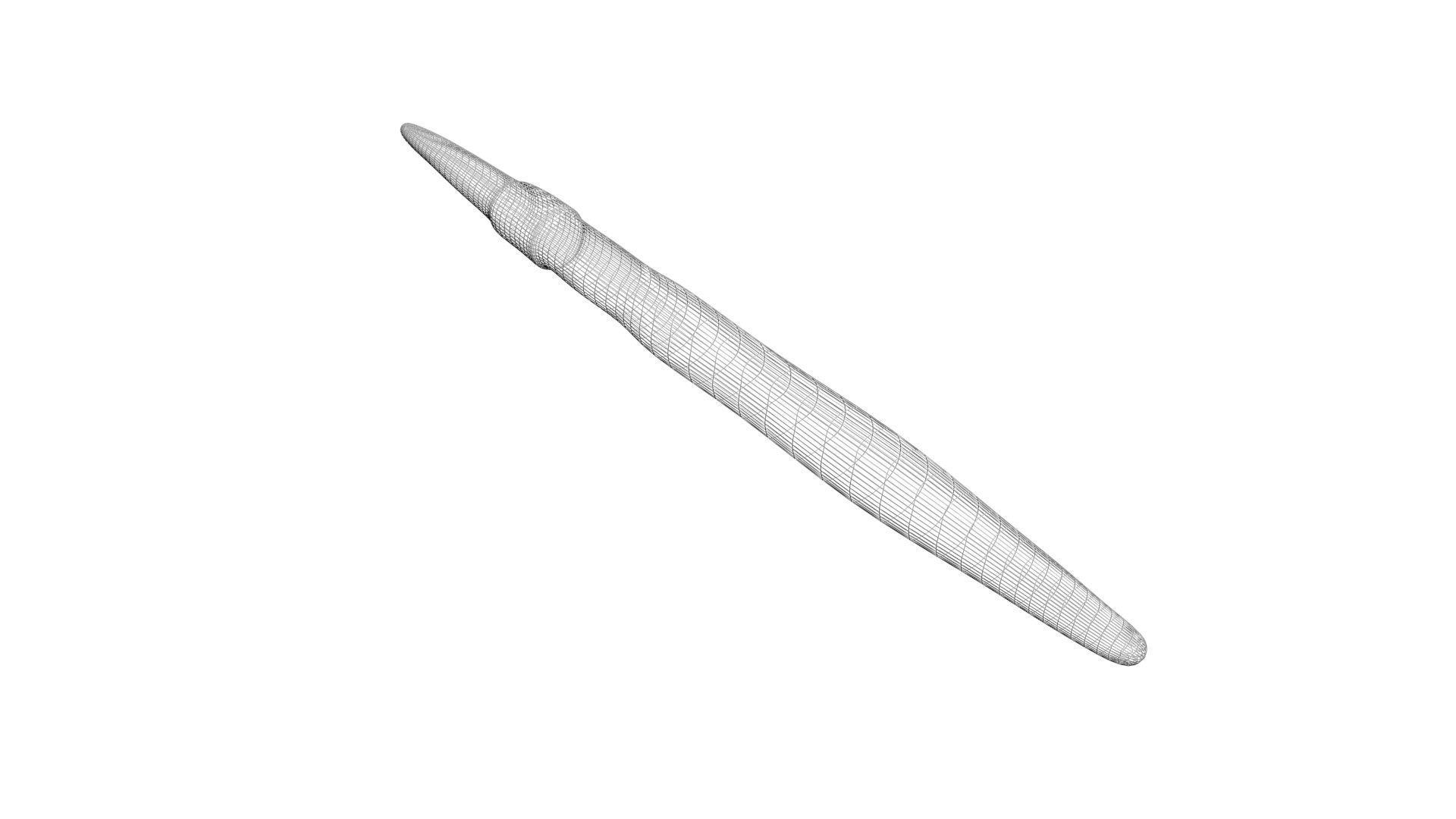 Straight Earthworm 3D Model - TurboSquid 1841825