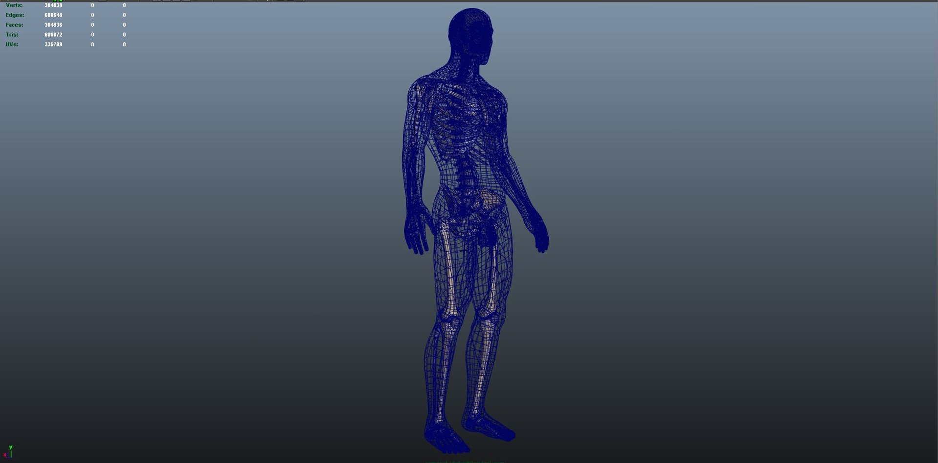 Body Skeleton Lymph Model - TurboSquid 1216989