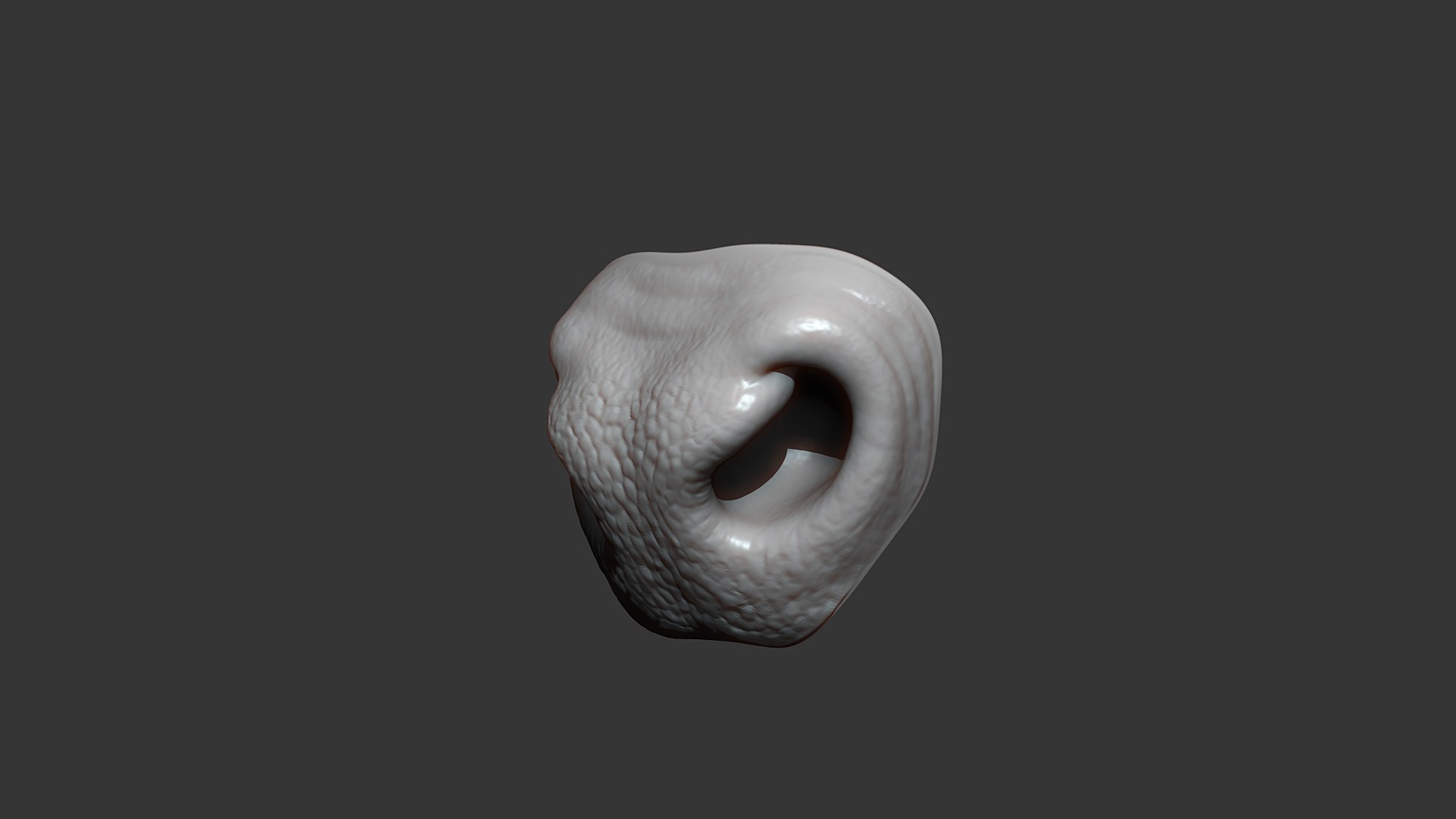 3D Bull Nose Highpoly Sculpt Model - TurboSquid 1809070