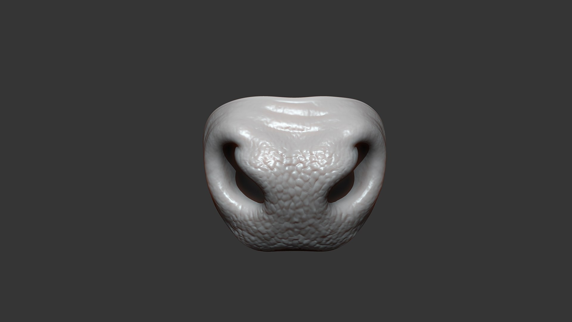 3D Bull Nose Highpoly Sculpt Model - TurboSquid 1809070